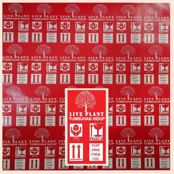 🔥 [BUY 10 + 1 ] STICKER FRAGILE POKOK HIDUP / LIVE PLANTS LOGISTICS ...