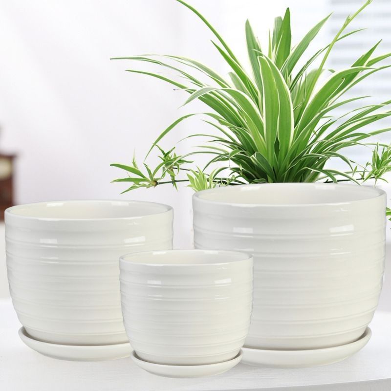 Ceramic White Flower Pot 🇲🇾 Flower Vase / Pasu Seramik / Pasu Bunga ...