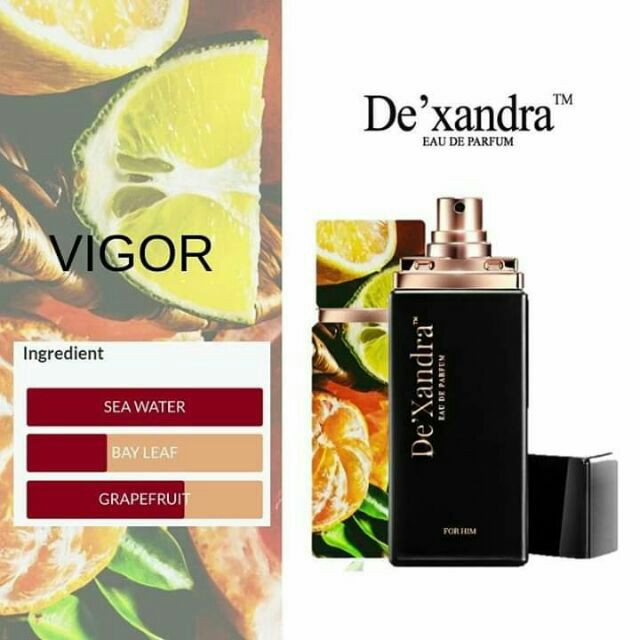 VIGOR Dexandra Perfume 35ml Original - Inspired by Paco Rabanne ...