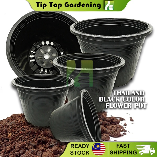 Garden Thailand Flower Pot Plant Succulent / Pasu Bunga Pokok Berkebun ...