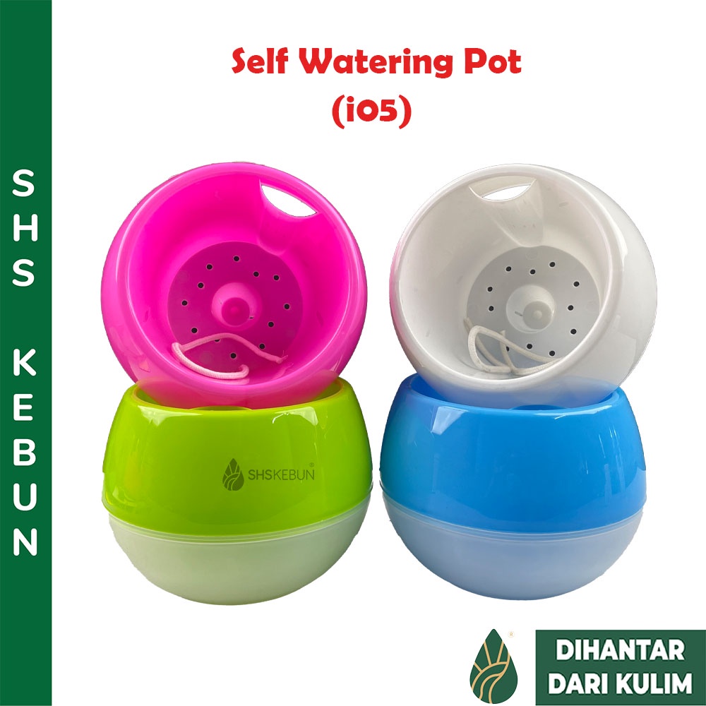 Round Indoor Hydroponic Pot I05 Bright Colour Self Watering Pot Pasu ...
