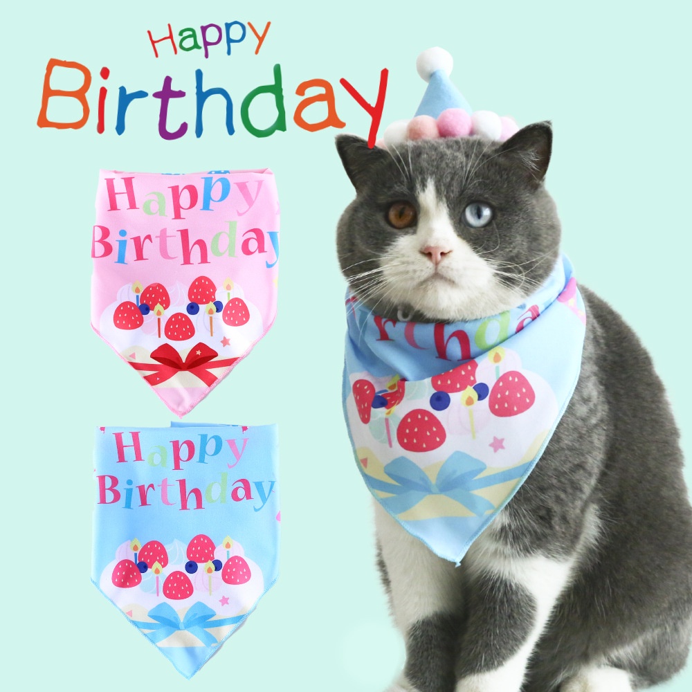 [Ready Stock] Topi & Selendang Hari Jadi Kucing I Pet Cat Dog Birthday ...