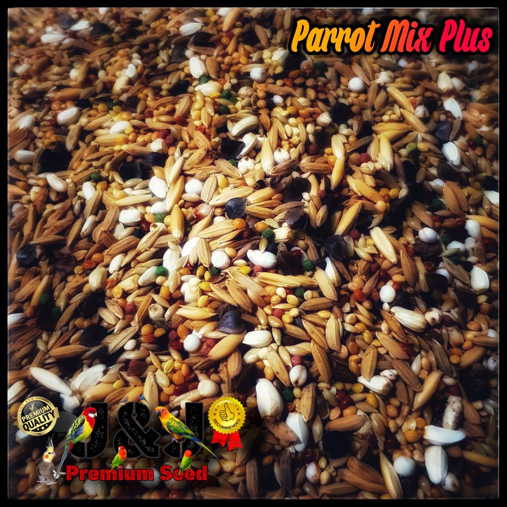 J&j parrot mix plus haversed buckwheat lovebird animal feed 5kg ...