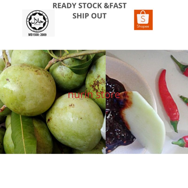 Buah mangga muda/buah mangga epal/buah pauh epal | Shopee Malaysia