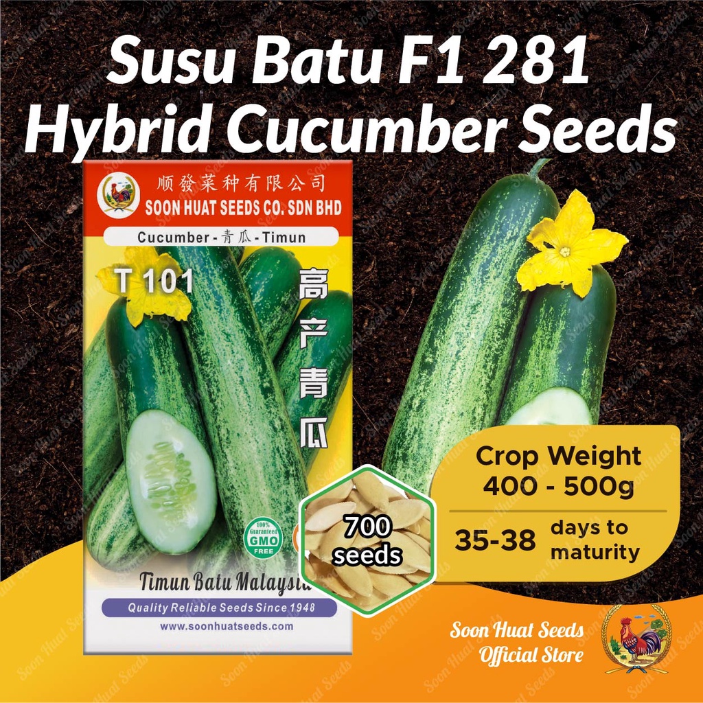 [20g] 281 Benih Timun Susu Batu Soon Huat Seeds | Shopee Malaysia