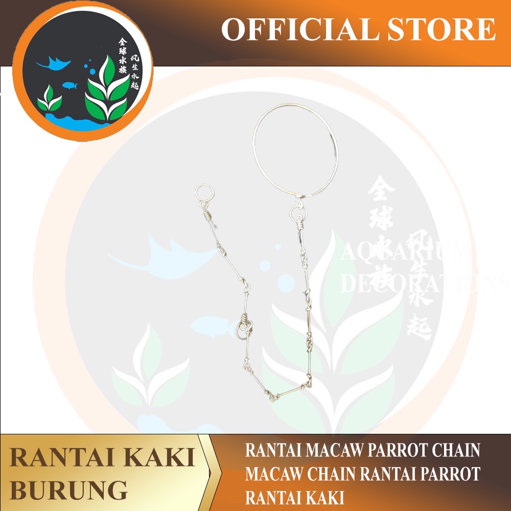 RANTAI MACAW Parrot Chain MACAW Chain Rantai PARROT Rantai kaki Burung ...