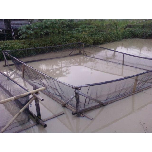 Hapa net cage 3m x 3m x 1.2m fish pond | Shopee Malaysia