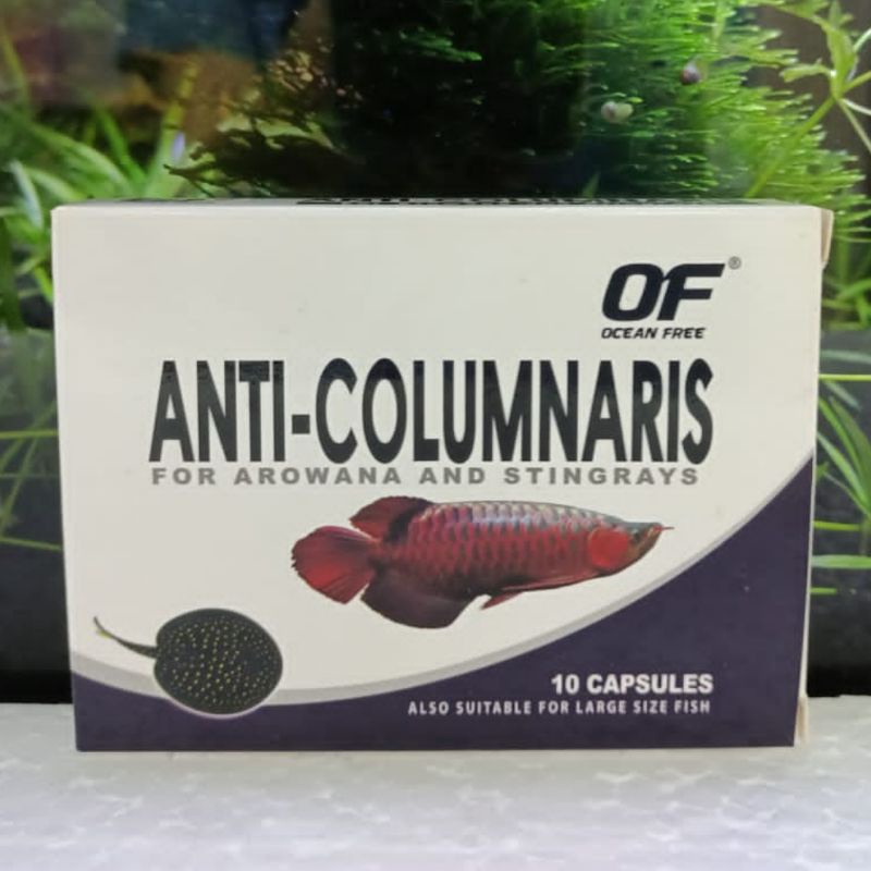 Ocean Free Anti- Columnaris (10 Capsules) | Shopee Malaysia