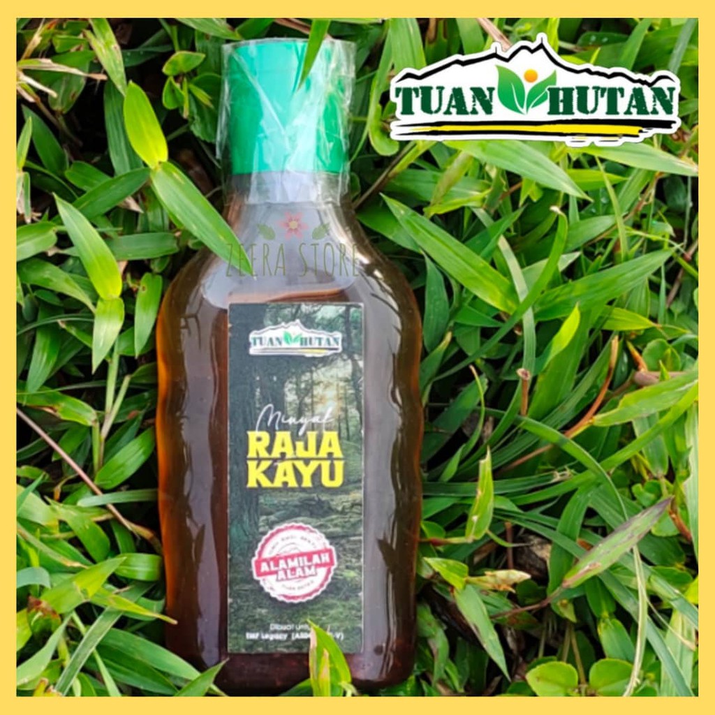 [Tuan Hutan] MINYAK RAJA KAYU - Minyak Urut Tradisional Serbaguna Sakit Sendi Otot Lenguh Badan ...