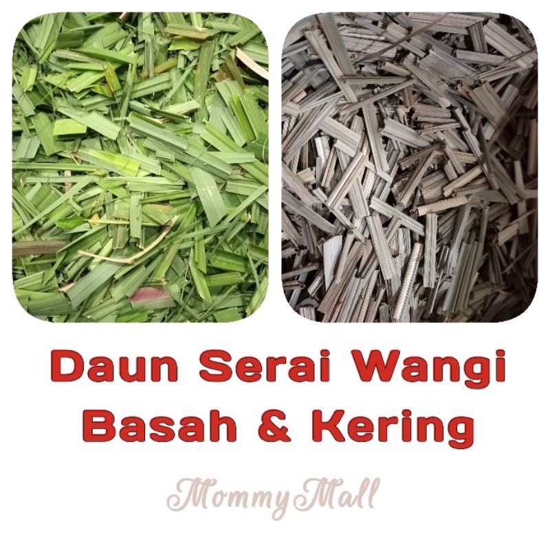 Daun Serai Wangi (30 gram) | Shopee Malaysia