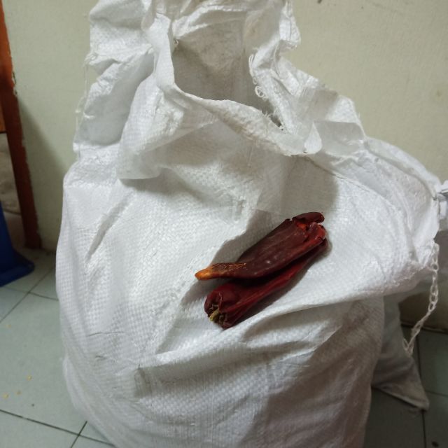 🌶 SALES 🌶CILI KERING GEMUK TIDAK PEDAS (pek 2 Kilo dr kilang) | Shopee ...