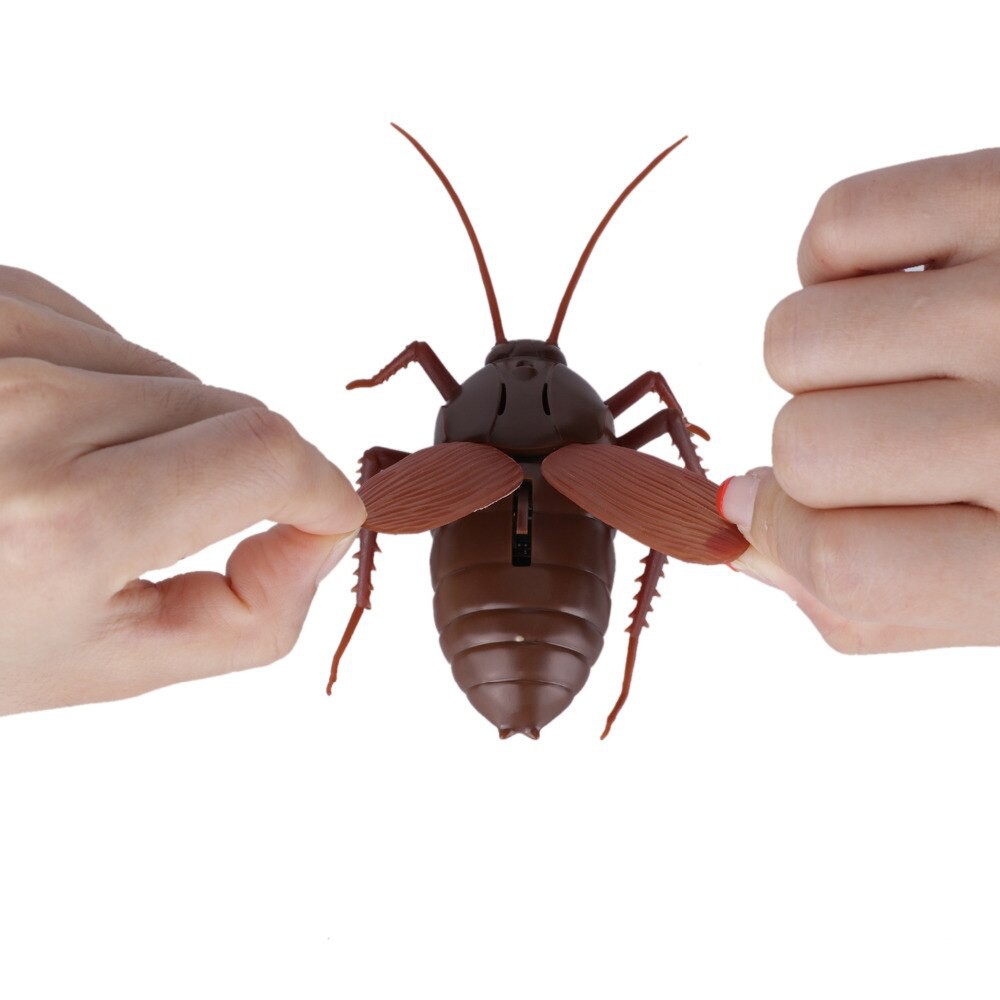 Cockroach Children Adult Remote Infrared Control Prank Animals Insects ...