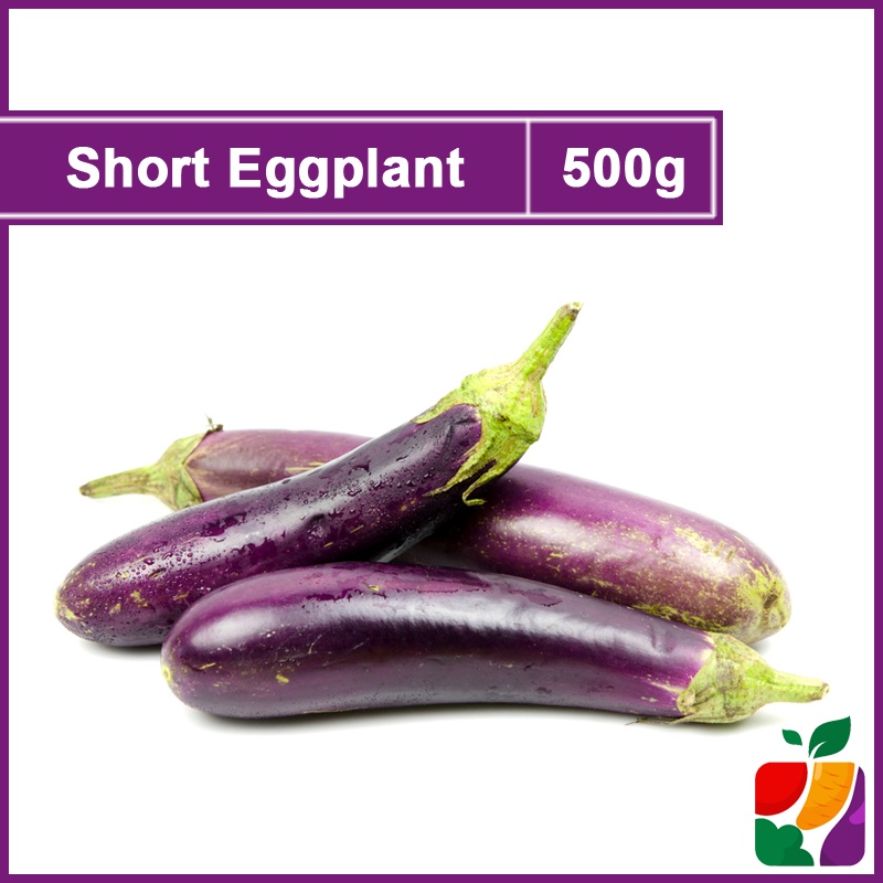 Short Eggplant / Terung Pendek / 短茄 (500g) Fresh Vegetables Delivery ...