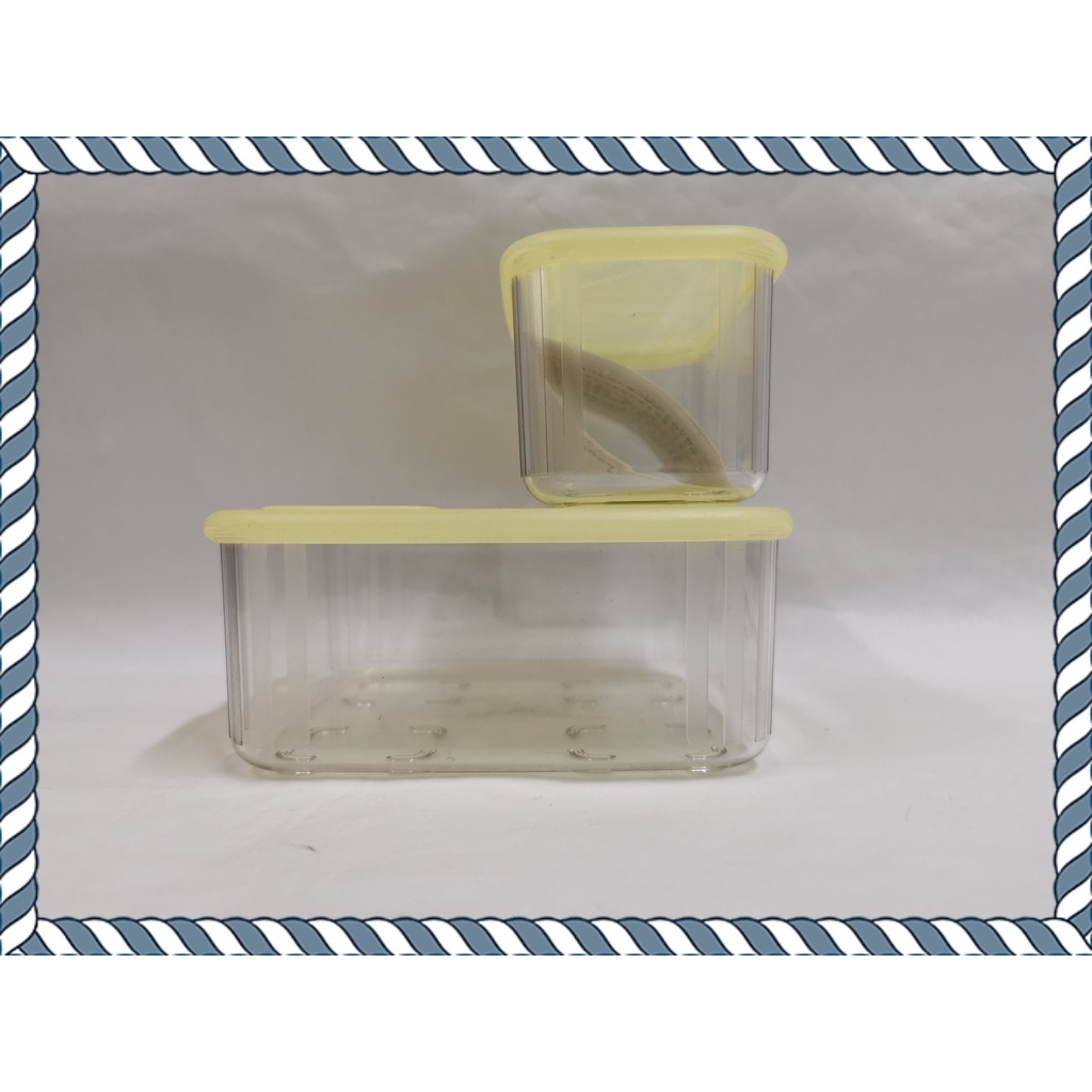 Tupperware Food Container Japan Clear Food Container 1.04L 460ml Set of ...