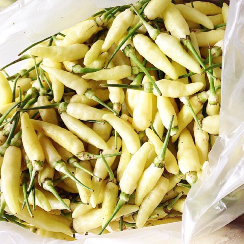 LADA PUTIH PEDAS DARI SABAH | Shopee Malaysia