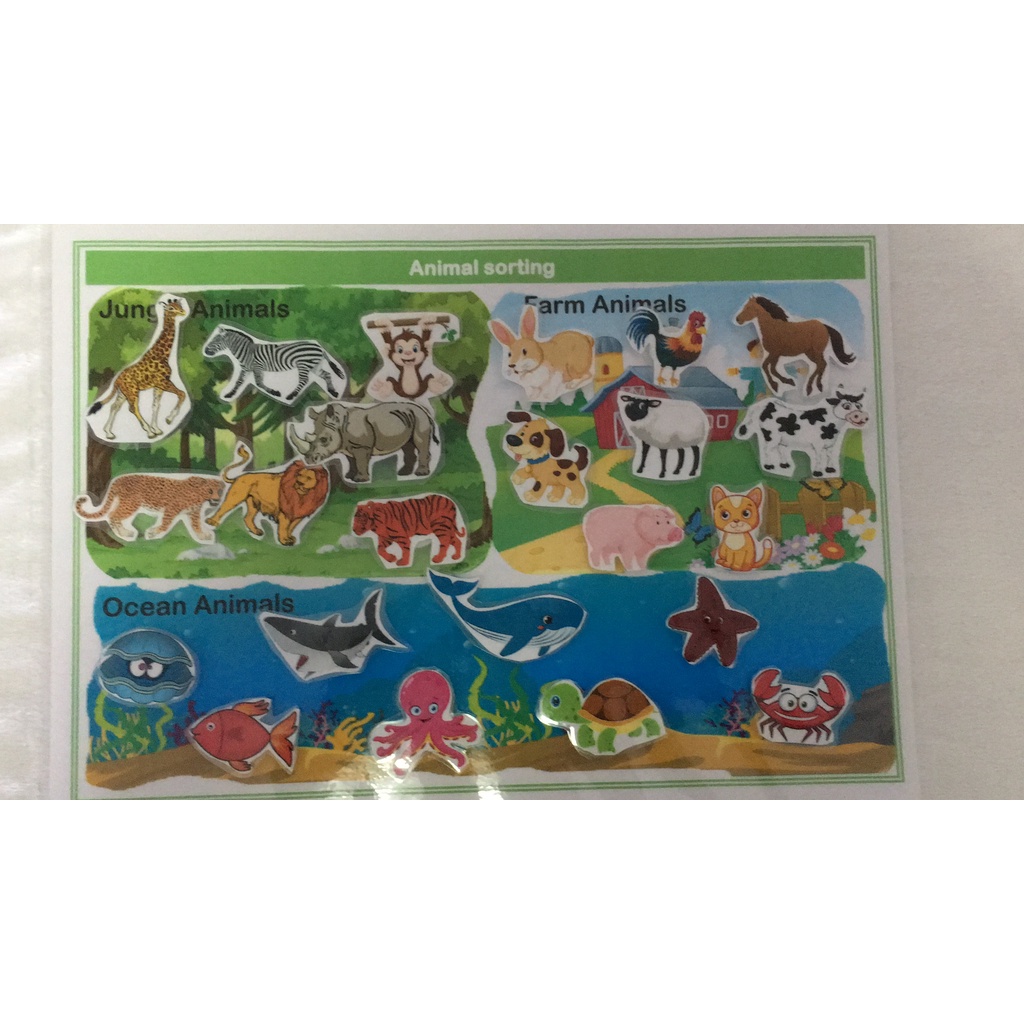 Busy Binder Activity / Animals / Animal sorting/DIY made | Shopee Malaysia