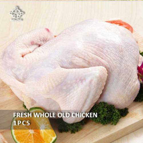 Fresh Premium Whole Old Chicken | 高品质新鲜老鸡 | Shopee Malaysia
