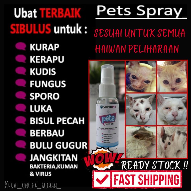 ubat kurap luka kucing anjing cat dog hamster arnab 🔥SUPER PET🔥spray ...