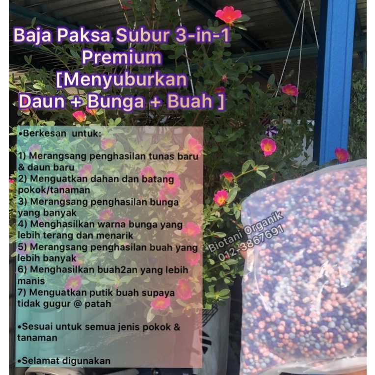 Baja Paksa Subur 3-in-1 Premium [Suburkan Daun, Bunga & Buah] | Shopee ...