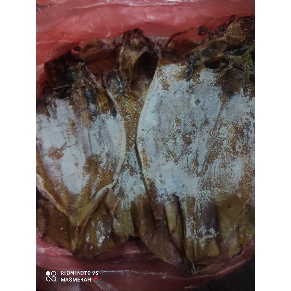 SOTONG KERING PREMIUM GRADE / SOTONG KERING PREMIUM KUALITI / DRIED ...