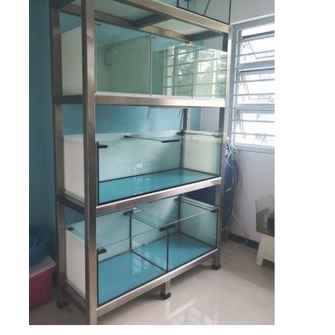 Customised Seafood Aquarium / Tank System (For lobster, live fish ...