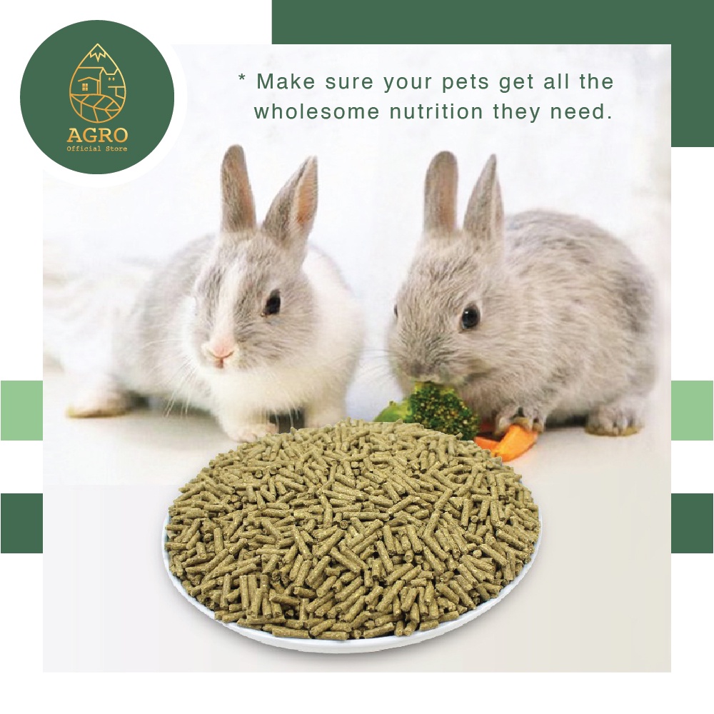Makanan Arnab & Guinea Pig & makanan hamster / Rabbit Food hamster food ...