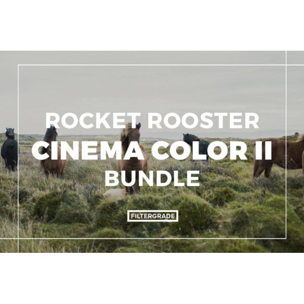Rocket Rooster Cinema Color II LUTs -Download | Shopee Malaysia
