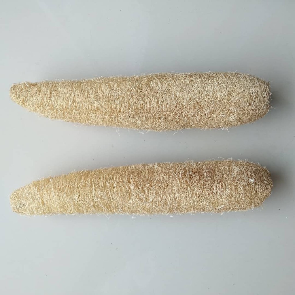 Unbleached Natural Loofah Natural Brush / Natural Sponge / Span Basuh ...