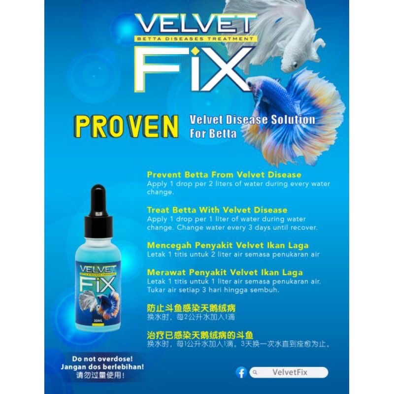 VELVET FIX BETTA UBAT PENYAKIT VELVET IKAN LAGA DISEASES TREATMENT FISH ...