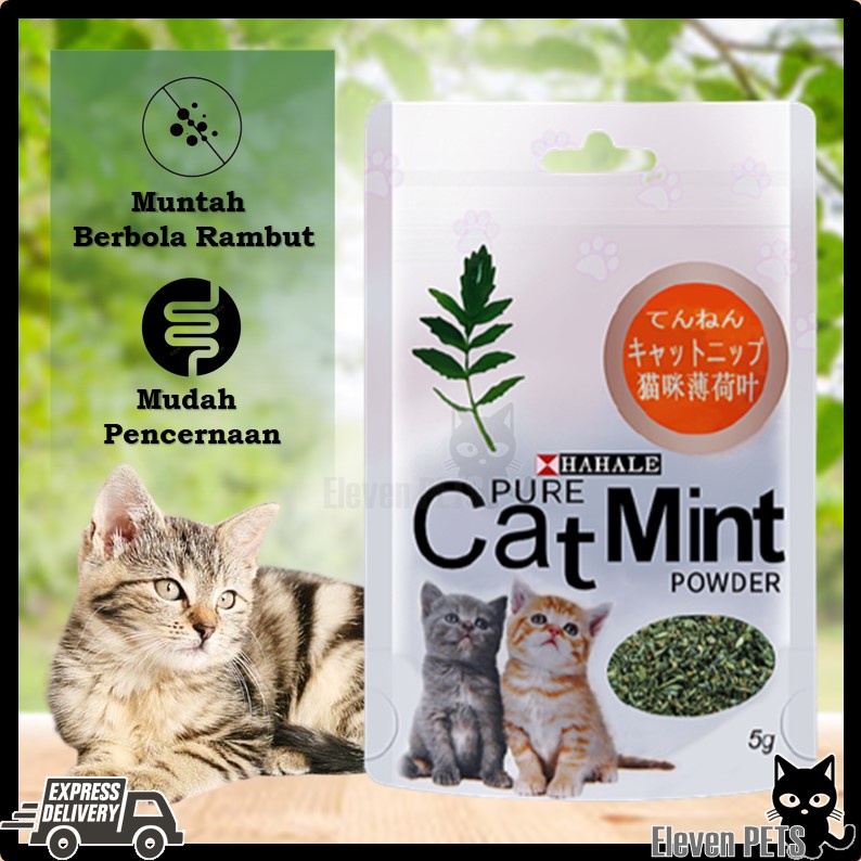 Hahale Pure Cat Mint Powder 5g (Catnip Kucing / Catnip / Cat Nip/Semula ...