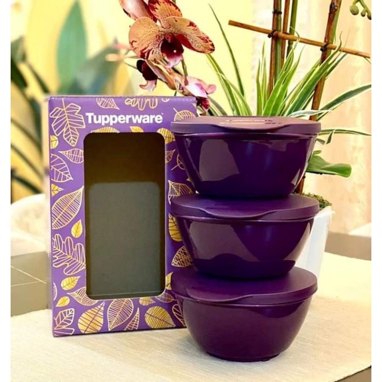 TUPPERWARE CLICK BOWLS PURPLE/ROSE GOLD (2) 425ml | Shopee Malaysia