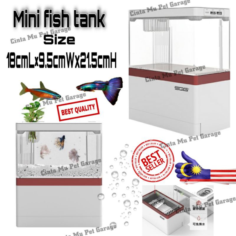 Mini fish tank small fish tank akuarium kecil 迷你小鱼缸 guppy tetra ...