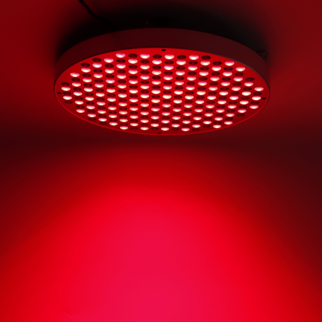 250 LED Red LED Light Therapy Deep 660nm and Near Infrared 850nm Red ...