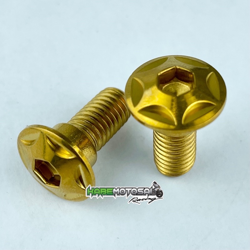 🏁 (1 BIJI) SCREW DISC BRAKE ALLENKEY 🏁 ORIGINAL HENG THAILAND SKRU DISC ...