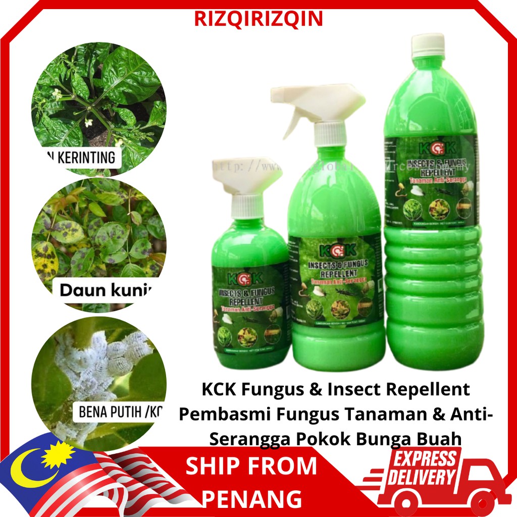 KCK Fungus Repellent Pembasmi Fungus Tanaman & Anti-Serangga Perosak ...