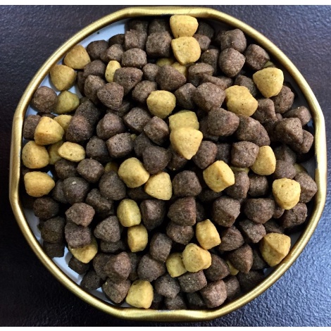 Icats icat iCats Super Premium Cat Food Mother Baby 1KG / Adult Fit 32 ...