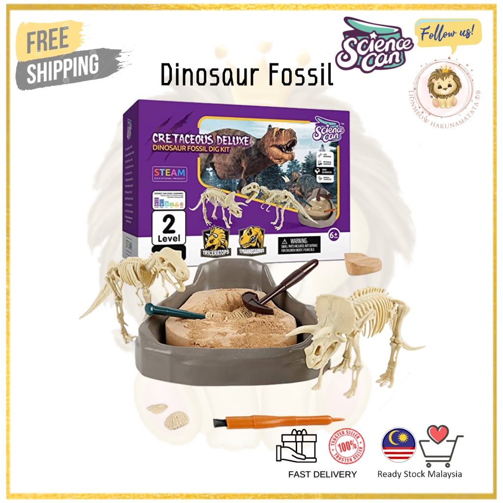 LionMeow [TOY]STEM ScienceCan DIY Dinosaur Excavation Kit Dinosaur ...
