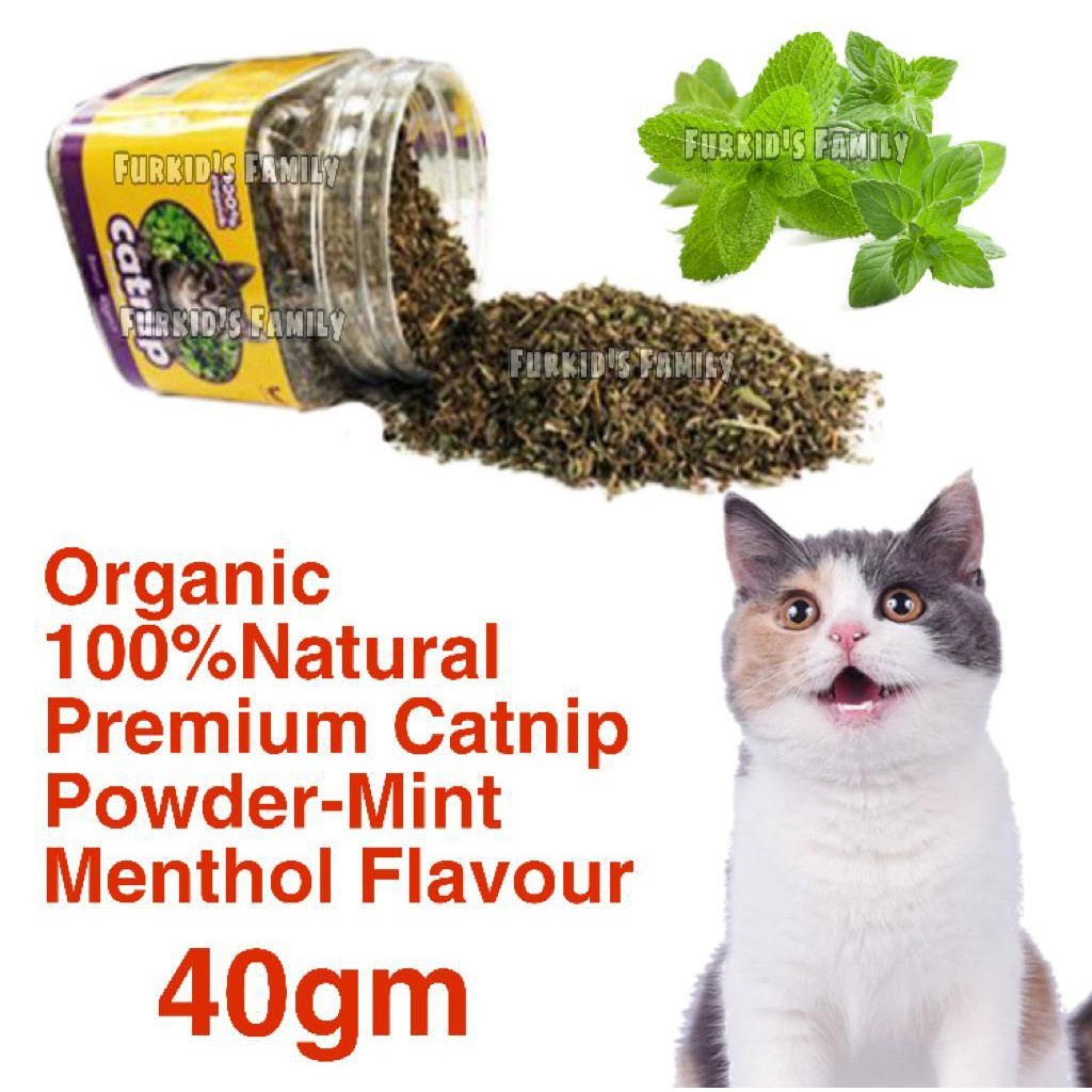 Organic 100% Natural Premium Catnip Powder / Cat Treats 40g-Mint ...