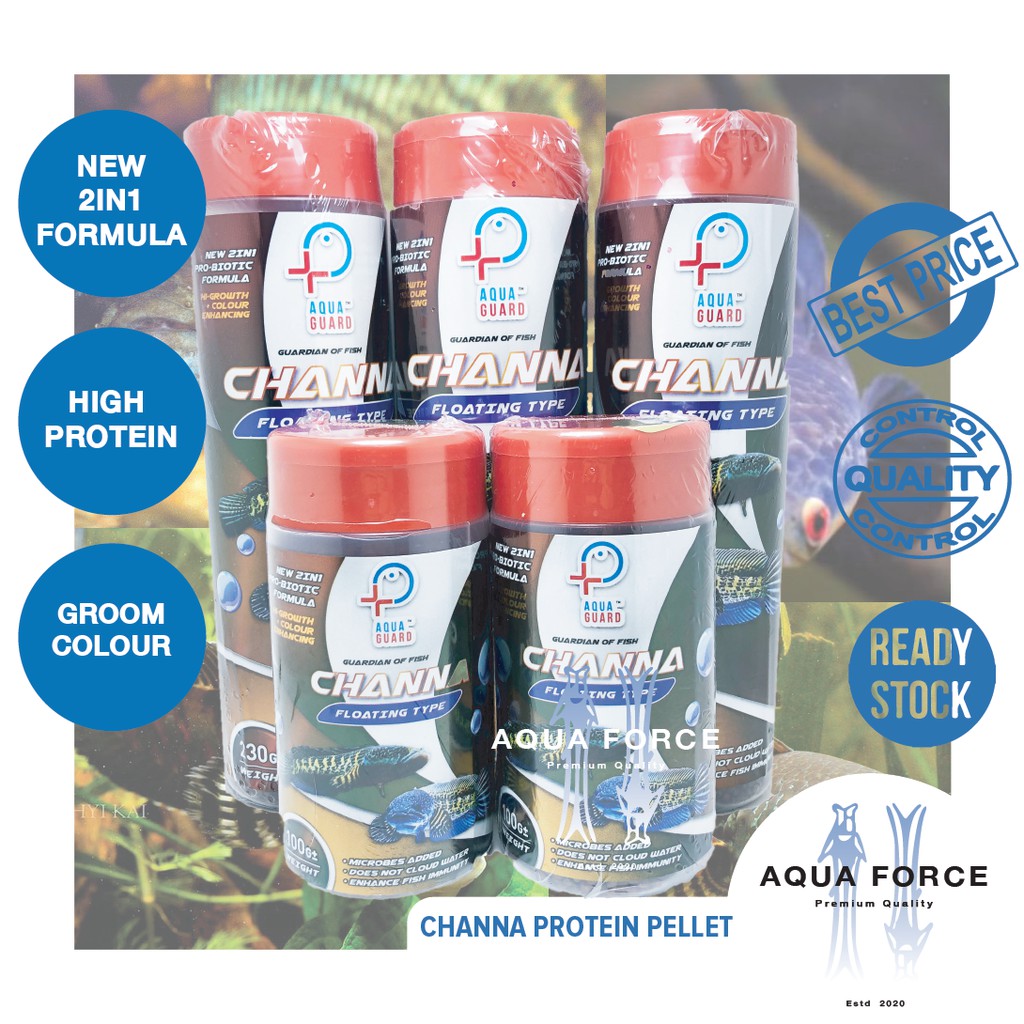 HIGH PROTEIN CHANNA PELLET GROOM COLOUR / MAKANAN CHANNA FOOD ...