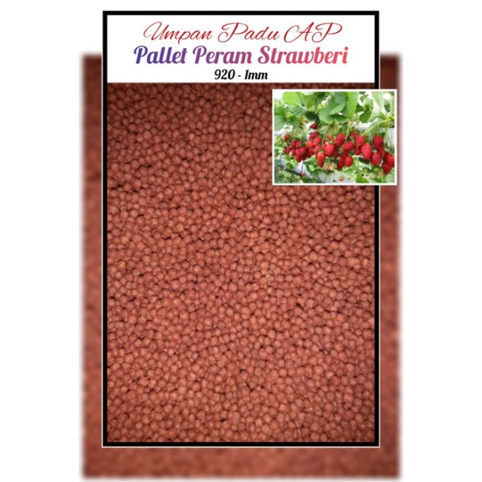 Pallet Peram Strawberi @ Pandan - 1.6kg by UMPAN PADU AP | Shopee Malaysia