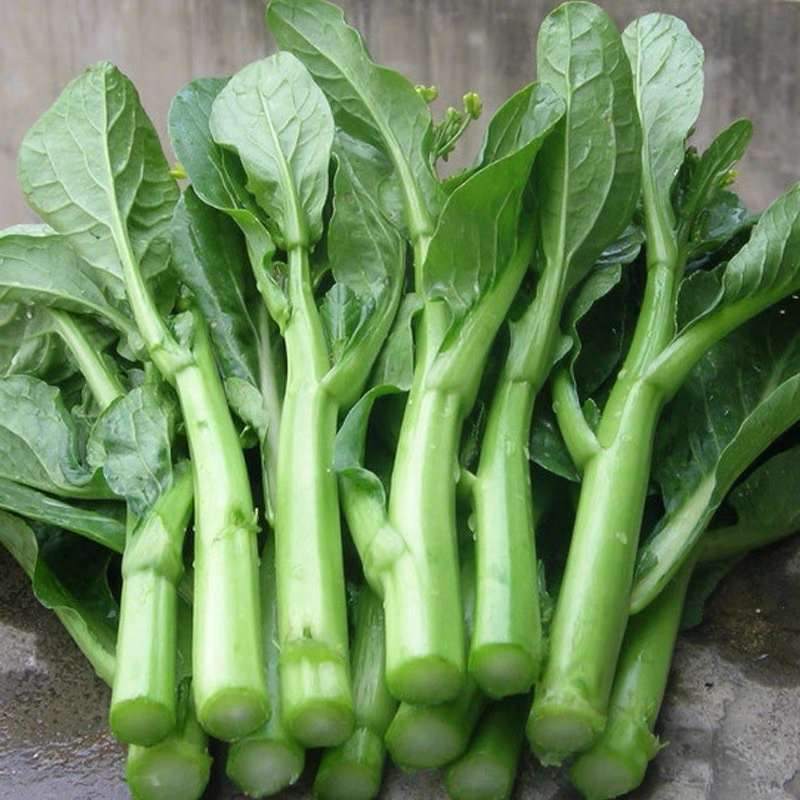 Biji Benih Sayur Sawi Bunga Manis 400± pcs /Cabbage seeds 甜脆菜心花种子 ...