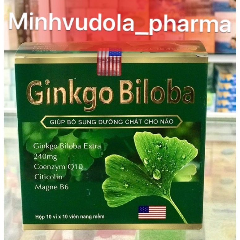 Ginko Biloba brain supplement 240mg - Dark green leaves (box of 100 ...