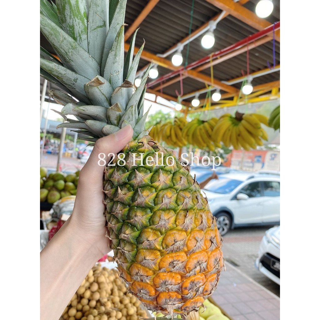 Philippines Pineapple 1pc (Delivery in JB area only) | Shopee Malaysia