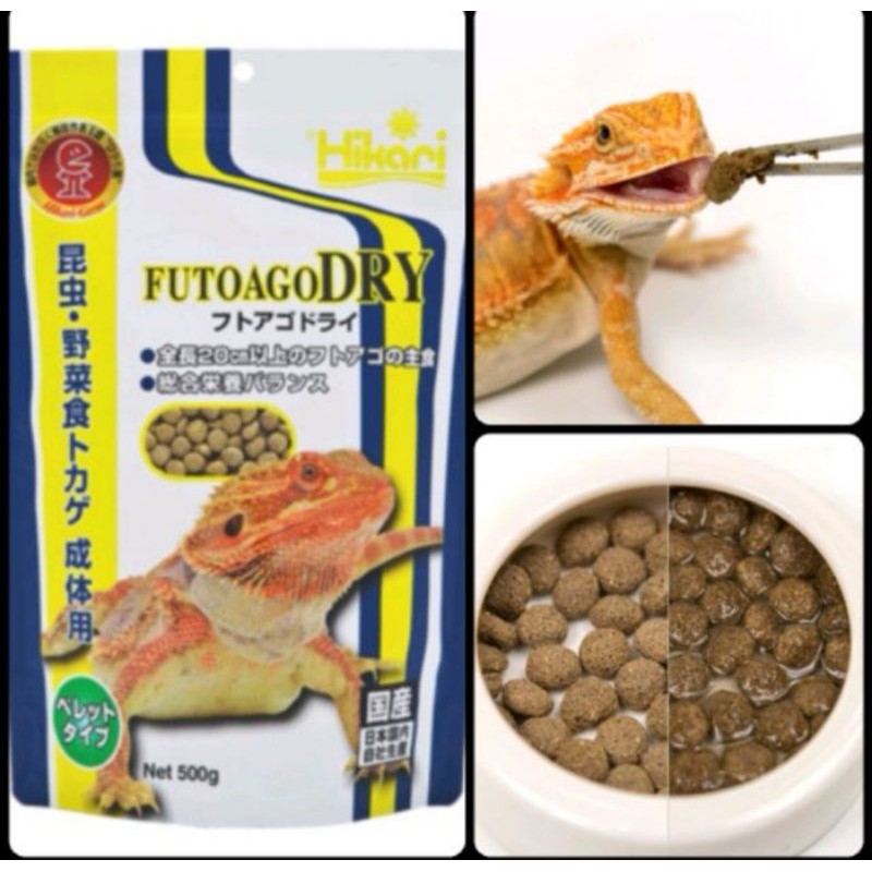 [Xinlin Aquarium] Japan Hikari High Goal Amphibious Reptile Omnivorous ...