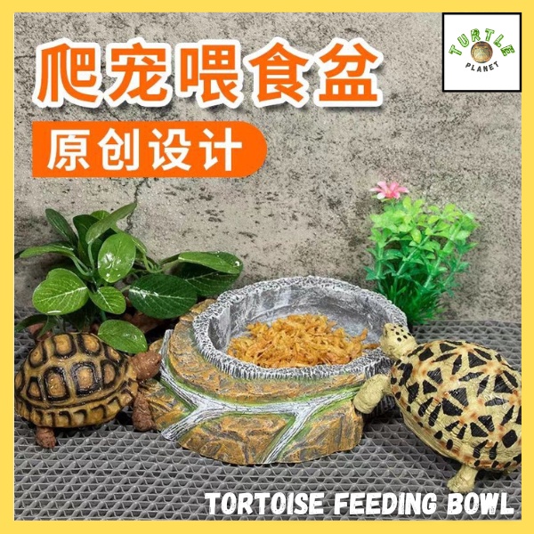 Tortoise feeding bowl drinking bowl aquarium turtle Reptile food bowl ...