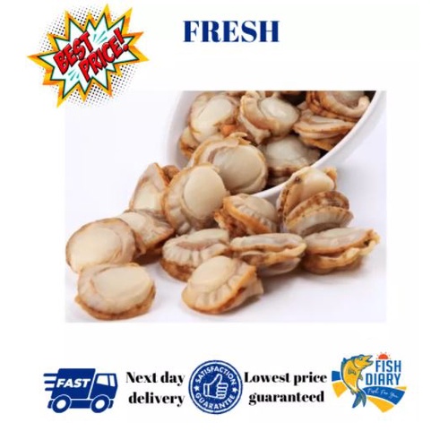 【Penang area only】Japanese Boiled Hotate Scallop 日本带子 500g (FREE ...