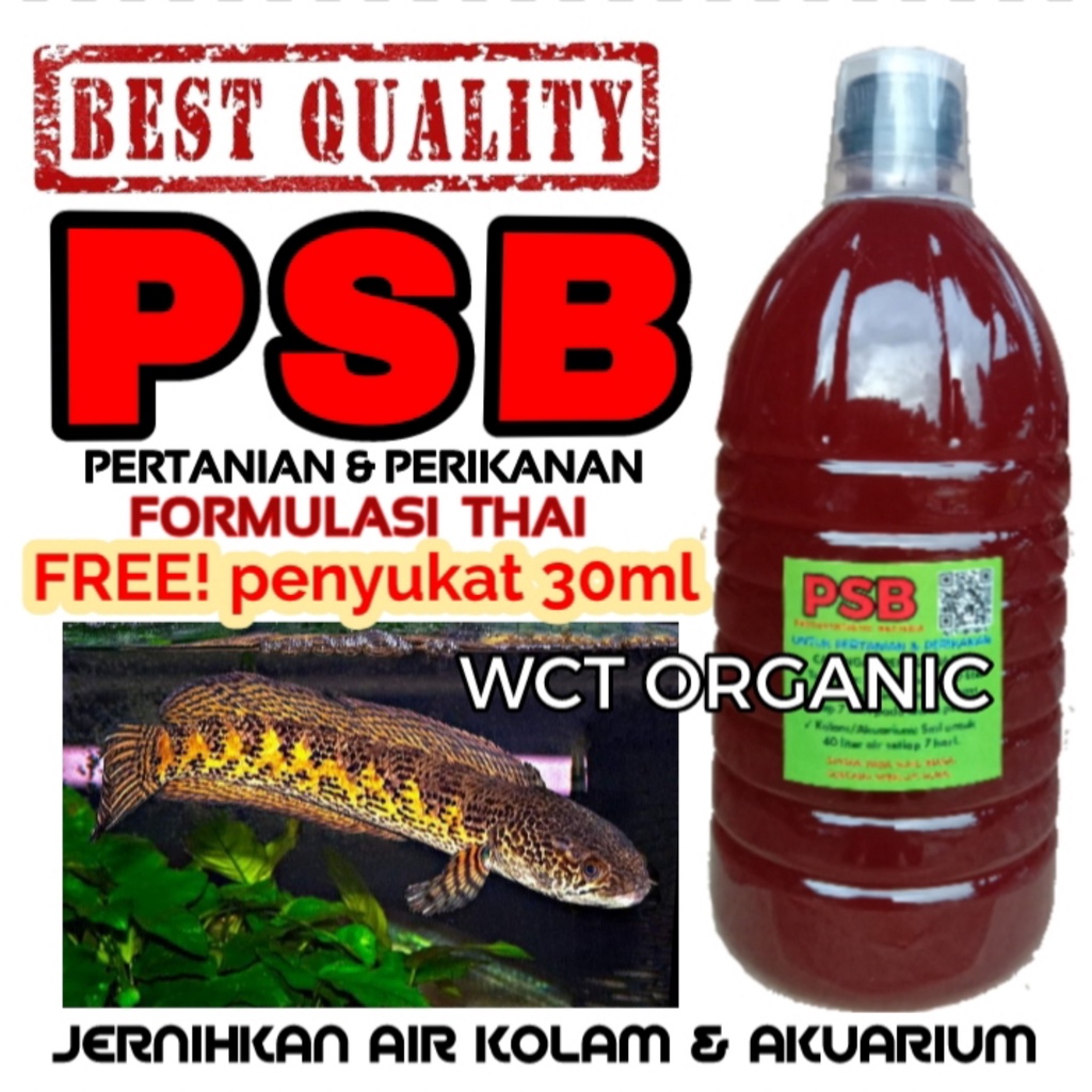 psb PHOTOSYNTHETIC BACTERIA home made, jernihkan air akuarium - kolam / baja / penggalak akar ...
