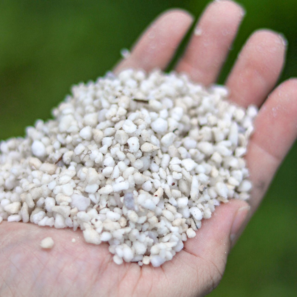 10L Perlite 3-6mm For Cactus & Succulents (Natural Expanded Volcanic ...