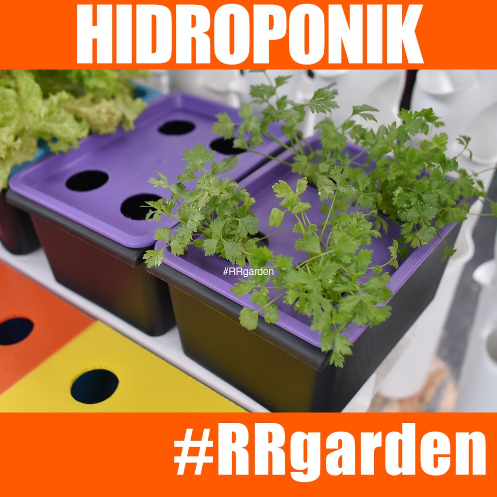 MINI HIDROPONIK TWIN SET MINI HYDROPONIC PLANT POT PASU RRGARDEN ...