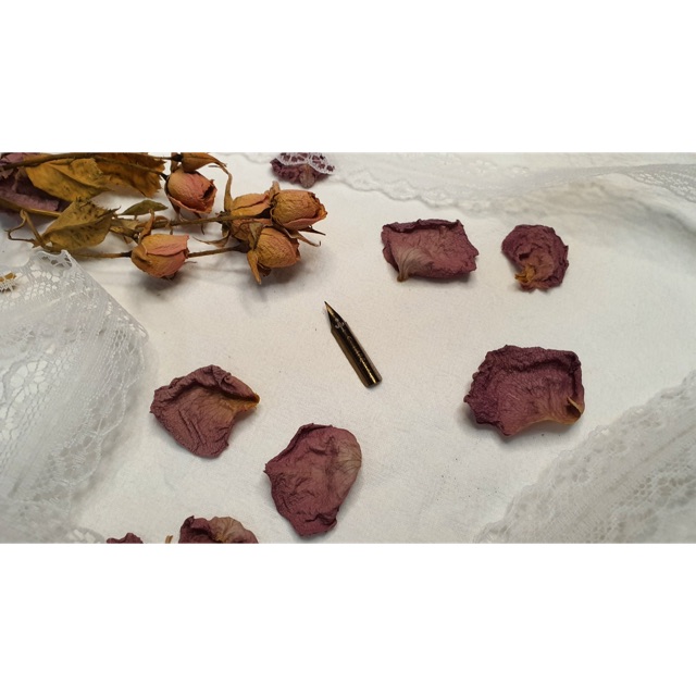 Hunt 101 Nib (Copperplate Calligraphy) | Shopee Malaysia